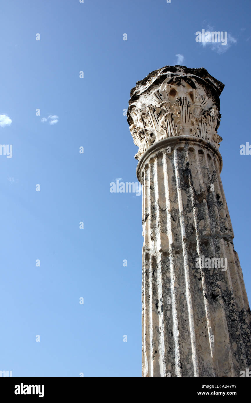 Corinthian column, Carthage, Tunisia Stock Photo - Alamy