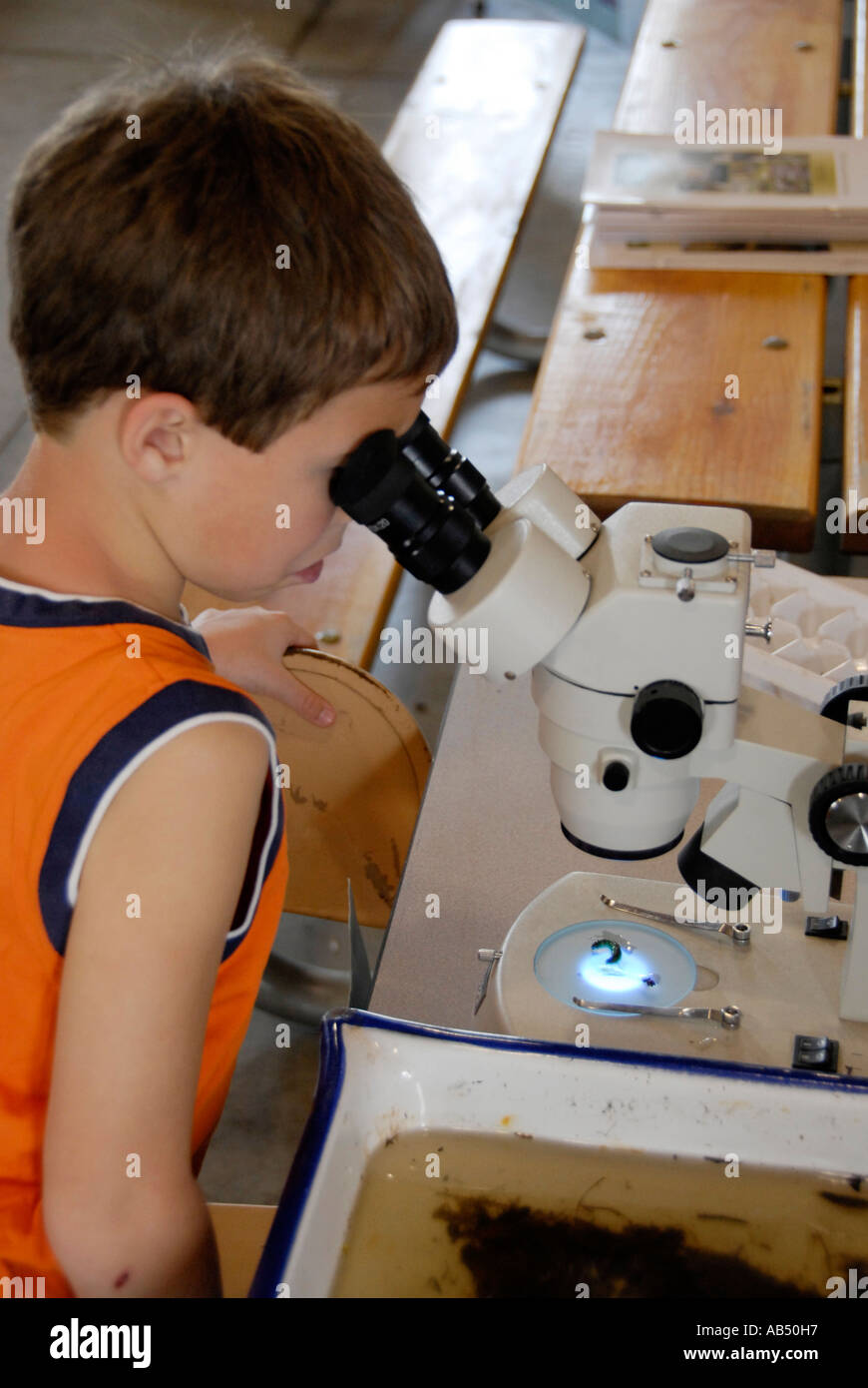 Children look through a microscope at the life in a pond at an Earth ...