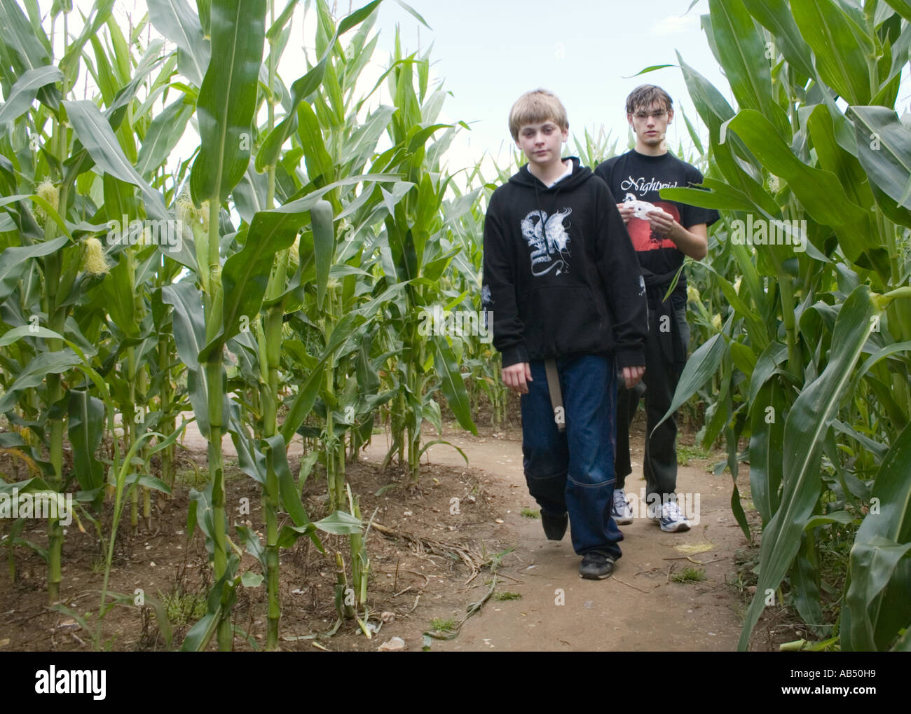 Inside the maze hi-res stock photography and images - Alamy