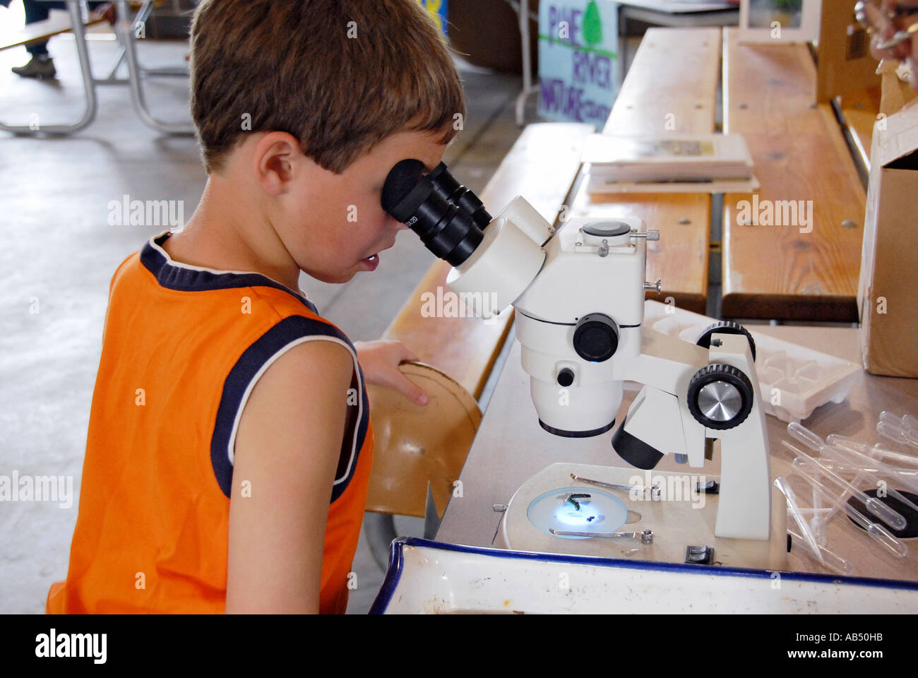 Children look through a microscope at the life in a pond at an Earth ...