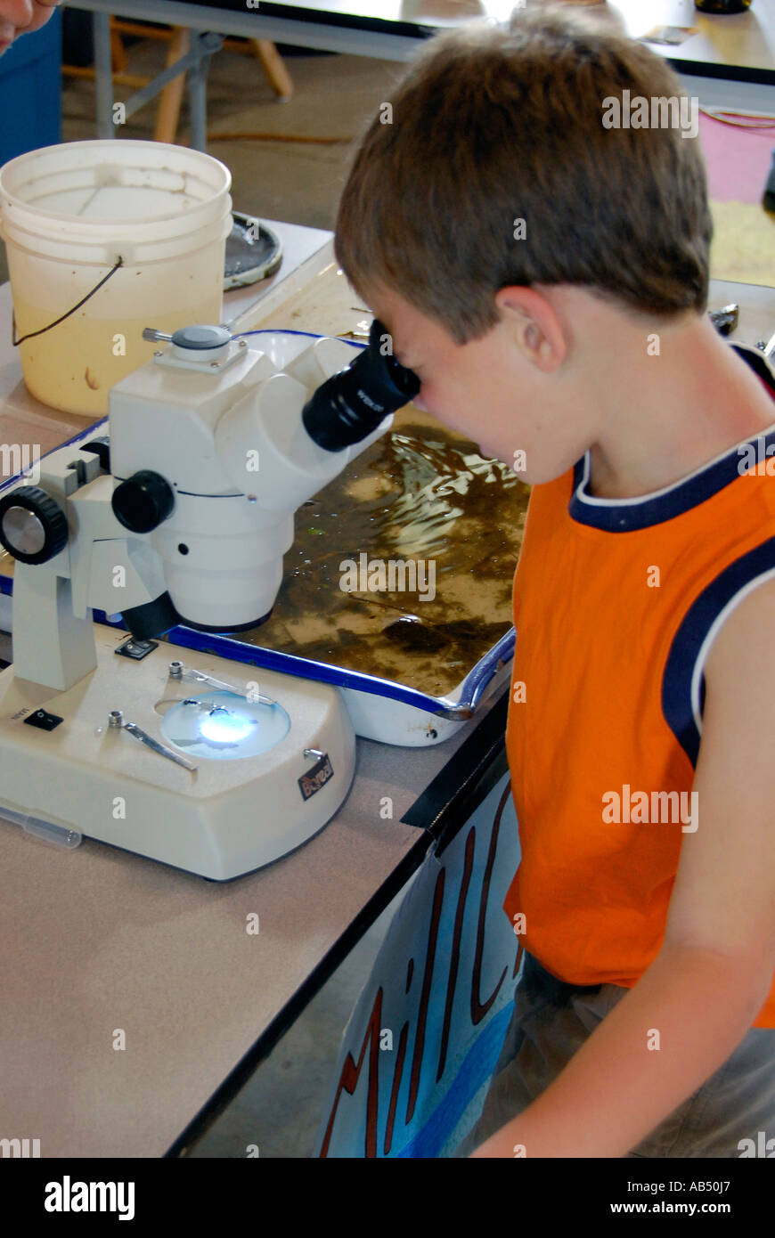 Children look through a microscope at the life in a pond at an Earth ...