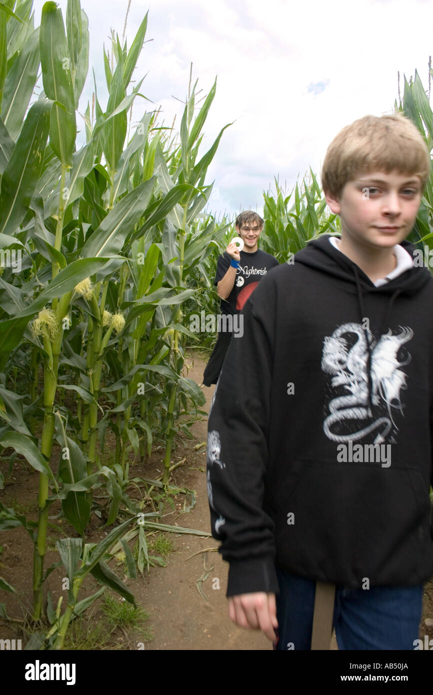 Maize Maze at Metton Norfolk UK Stock Photo - Alamy
