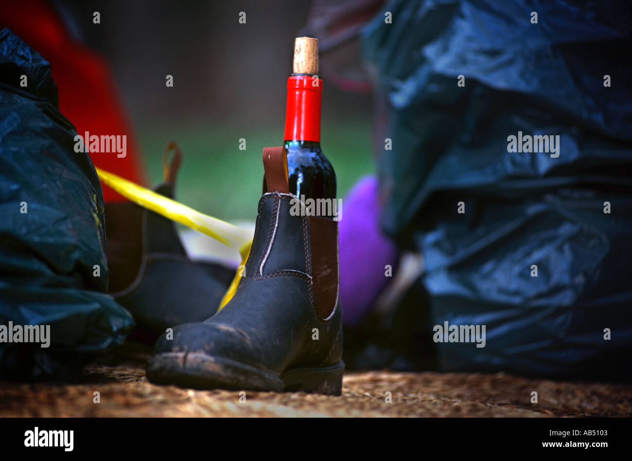 Bottle of red wine kept in a traditional australian boot at a picnic in ...
