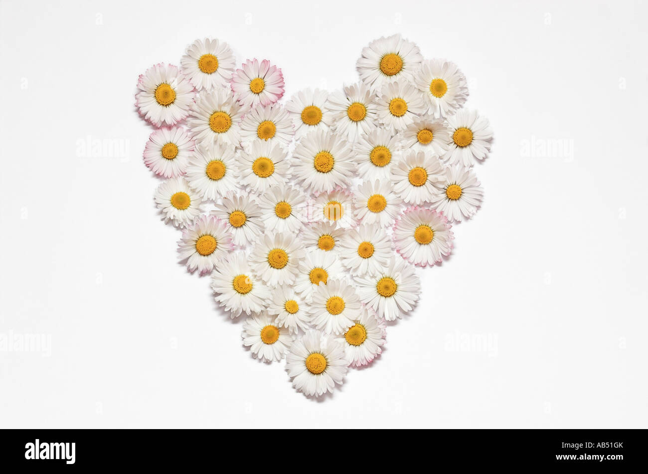 Daisy heads forming heart shape close up Stock Photo - Alamy
