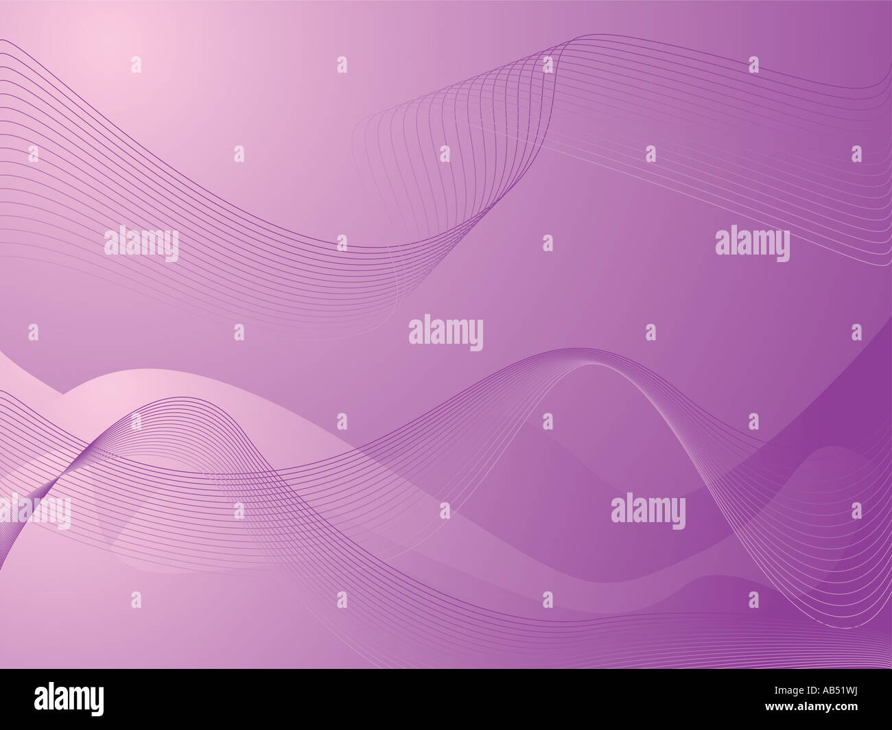 Illustrated abstract background in pink and purple with flowing lines ...