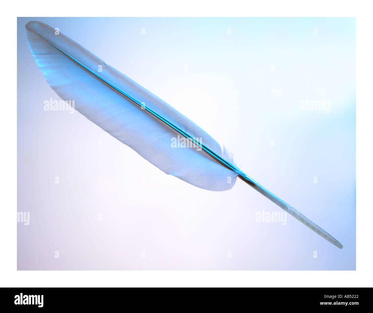 Exclusiv Cut Out Stock Images & Pictures - Alamy