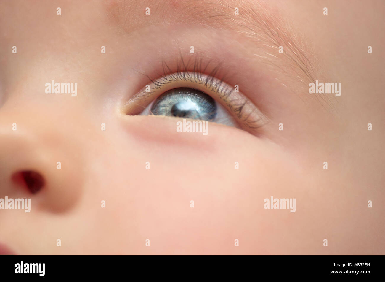 Upward looking pupils hi-res stock photography and images - Alamy