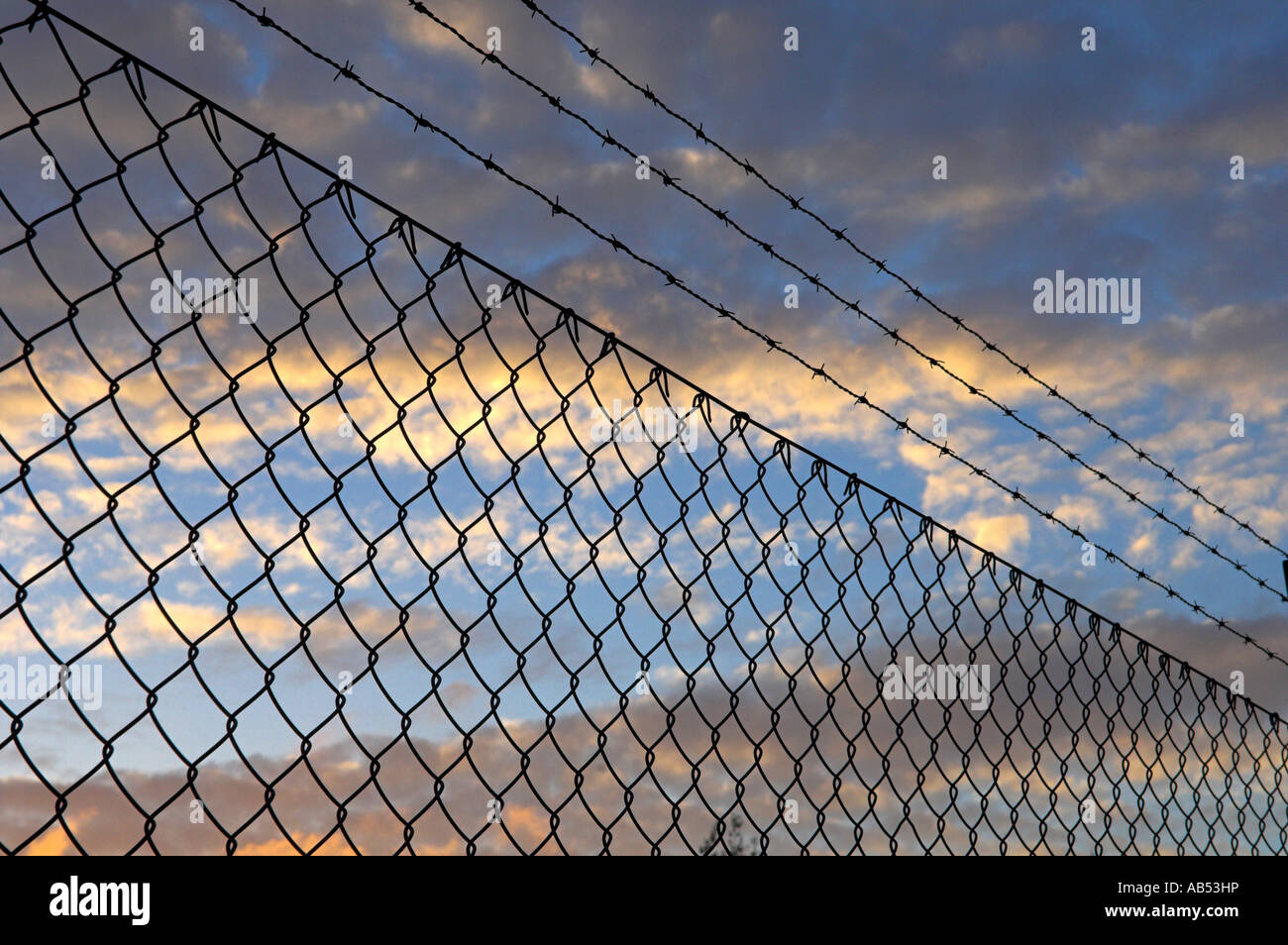 Barbed wire and chain link fence Stock Photo - Alamy