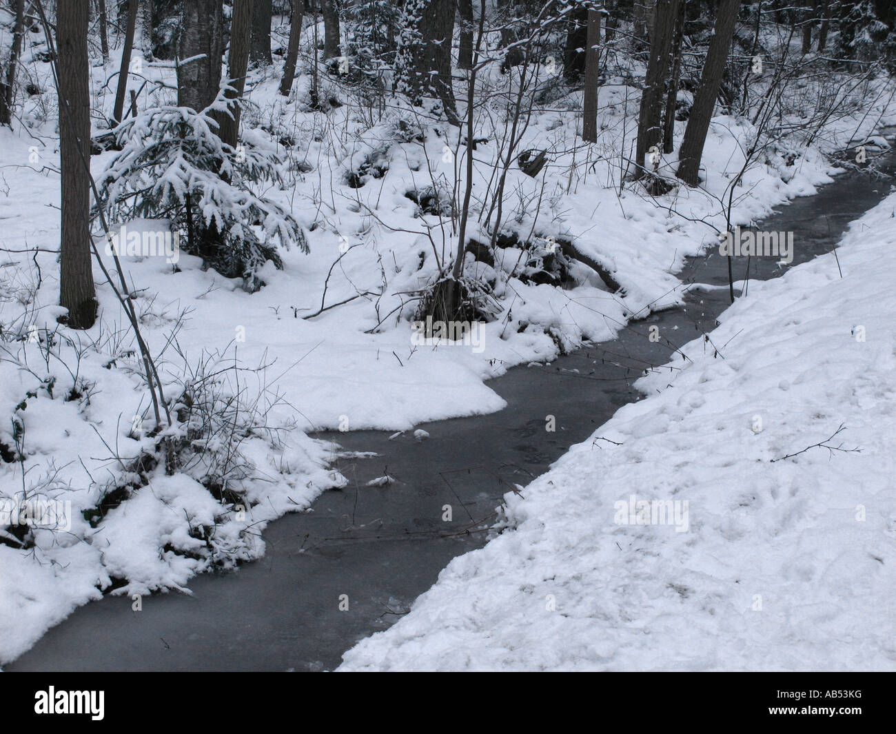 Stream bubbling with the waters of early spring Stock Photo - Alamy