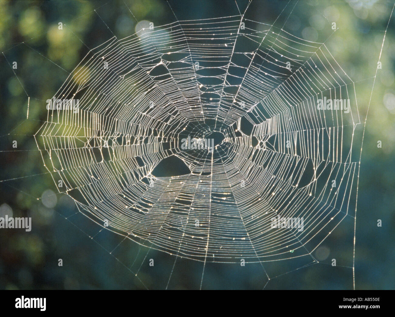 Strong silk hi-res stock photography and images - Alamy