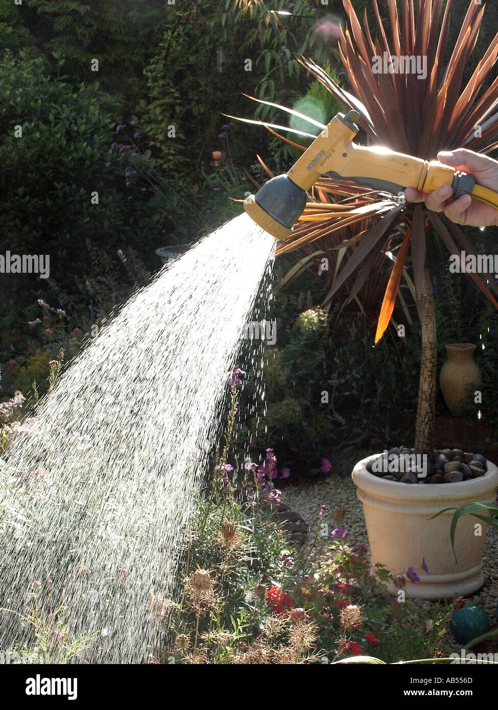 Essex hand held hose pipe with spray attachment to spread water over ...