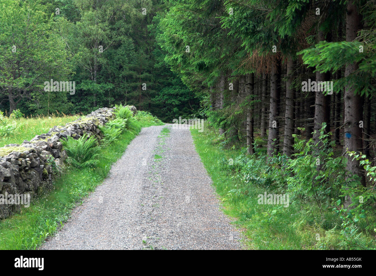 Gravel road and stone wall Stock Photo - Alamy