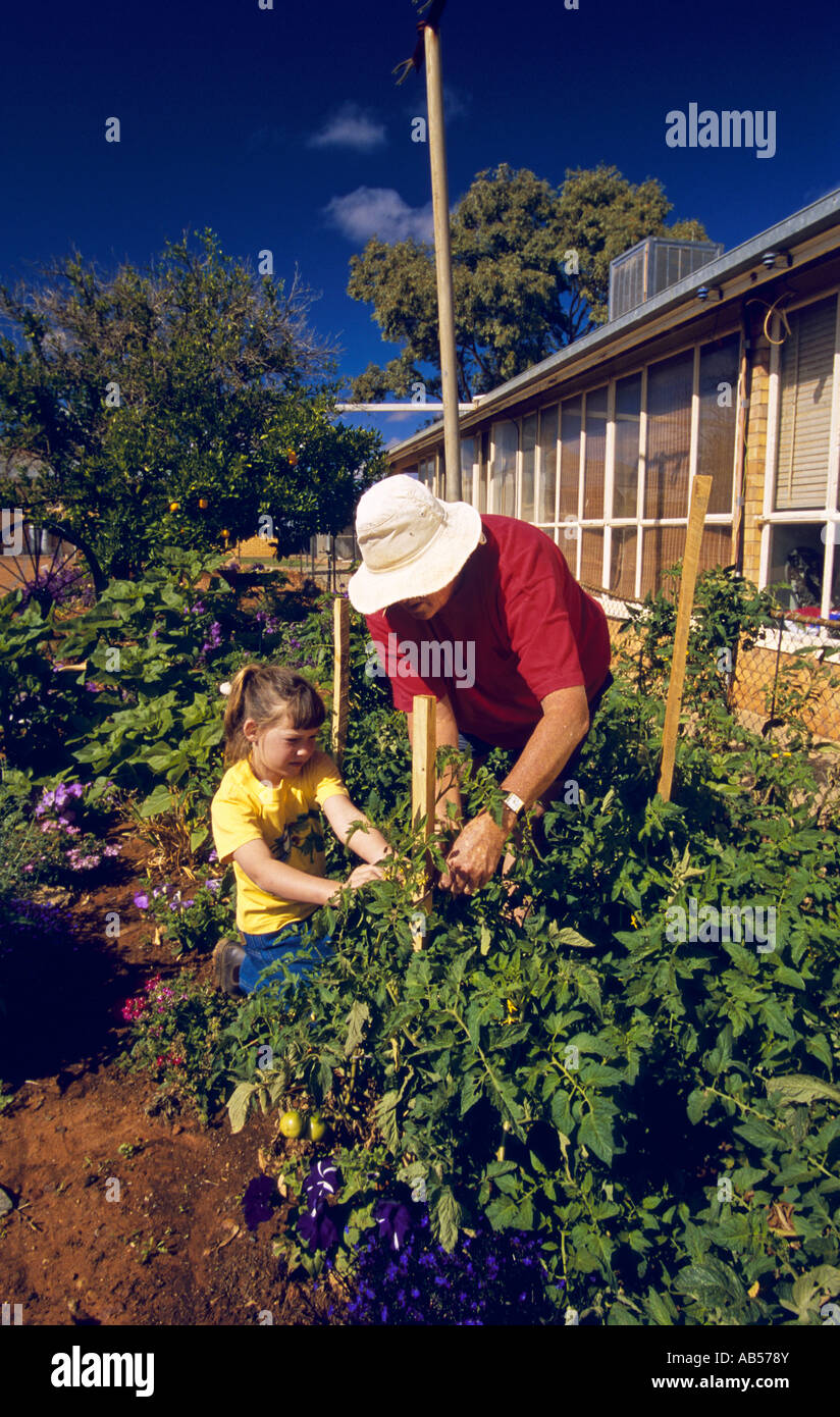 Outback homestead vegetable garden Langidoon Station, near Broken Hill ...