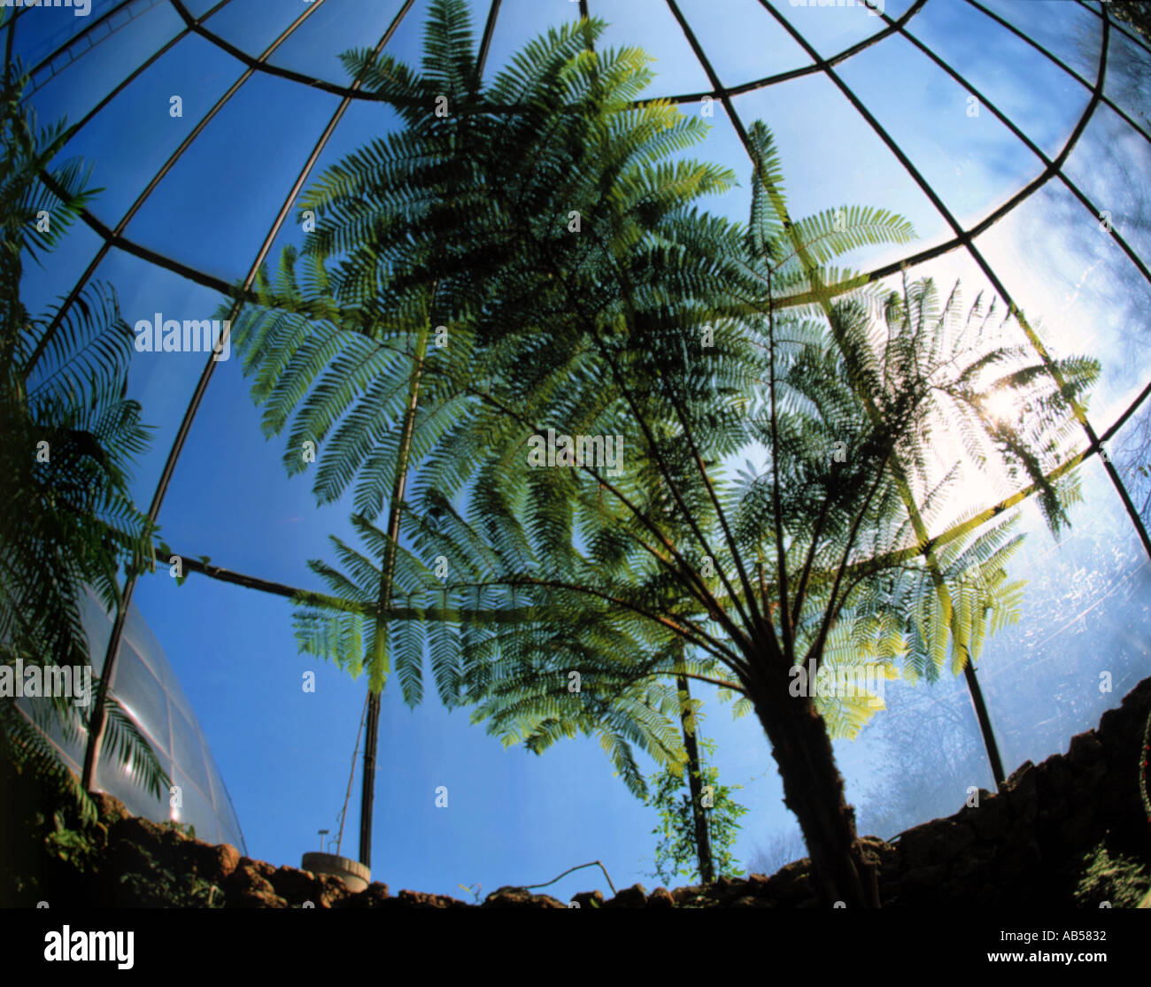 Greenhouse botanical garden zurich hi-res stock photography and images ...