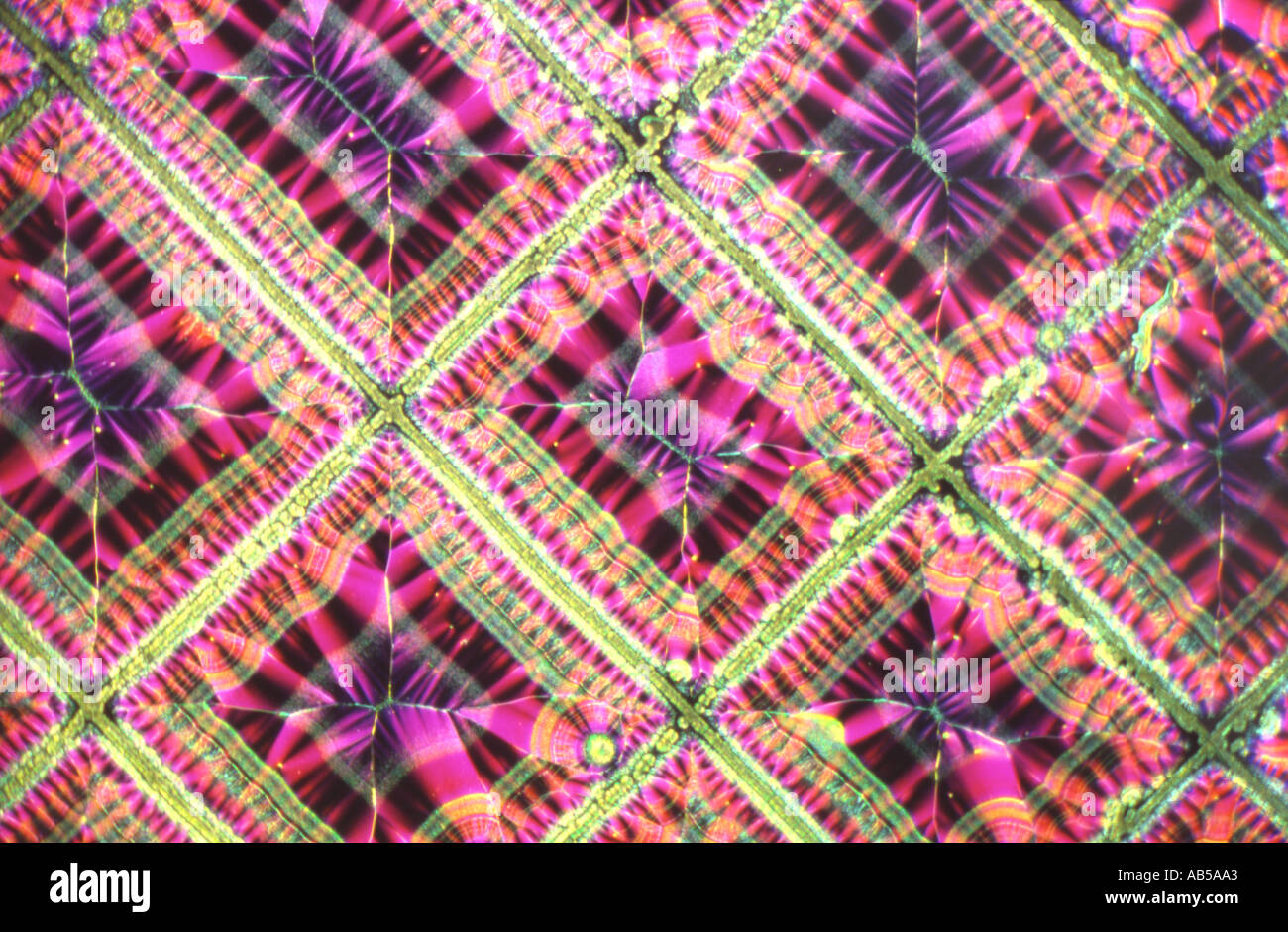 Crystals of Ascorbic Acid from aq soln Scratch initiation Spikeberg ...