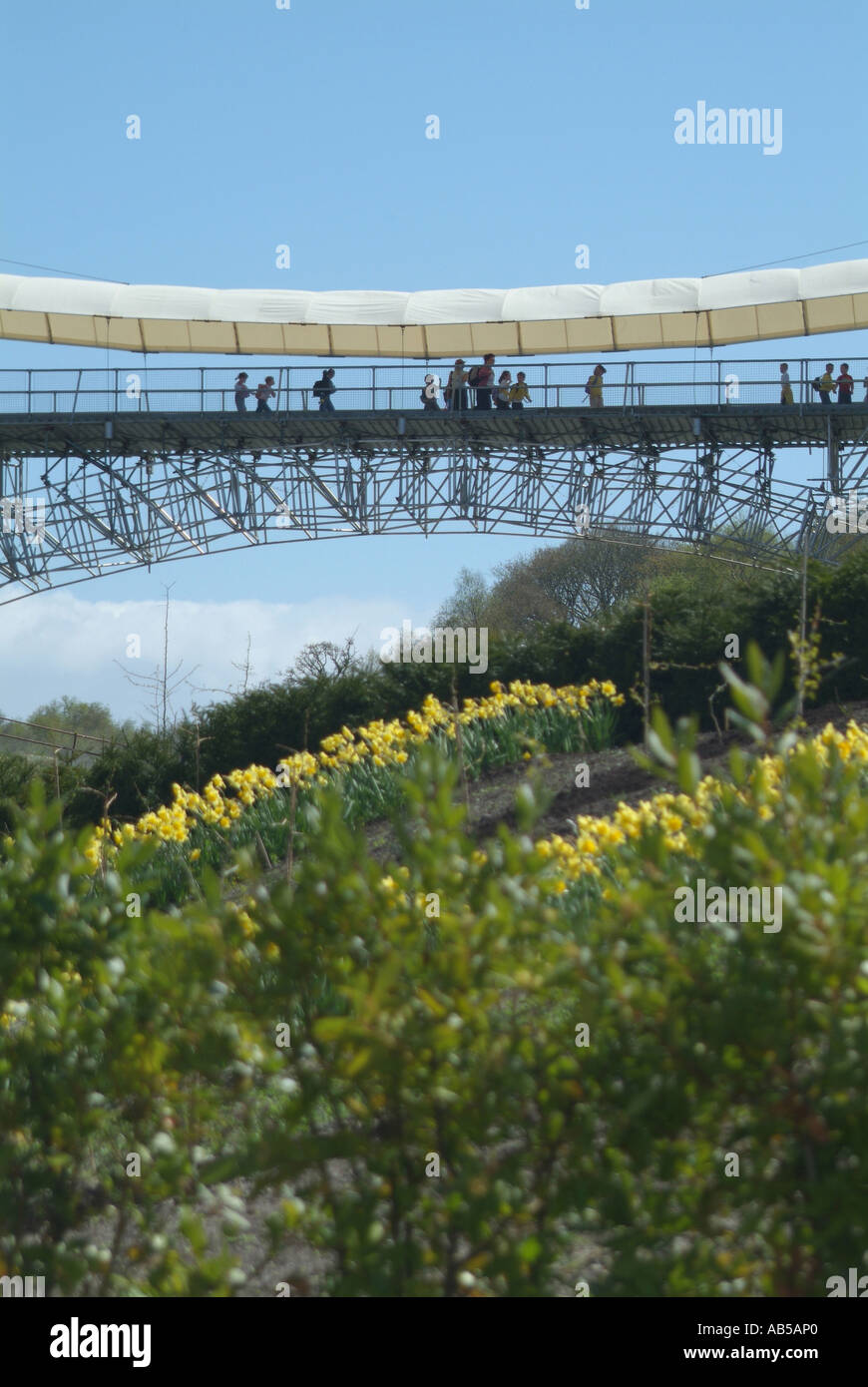 The Eden Project Bridge High Resolution Stock Photography and Images ...