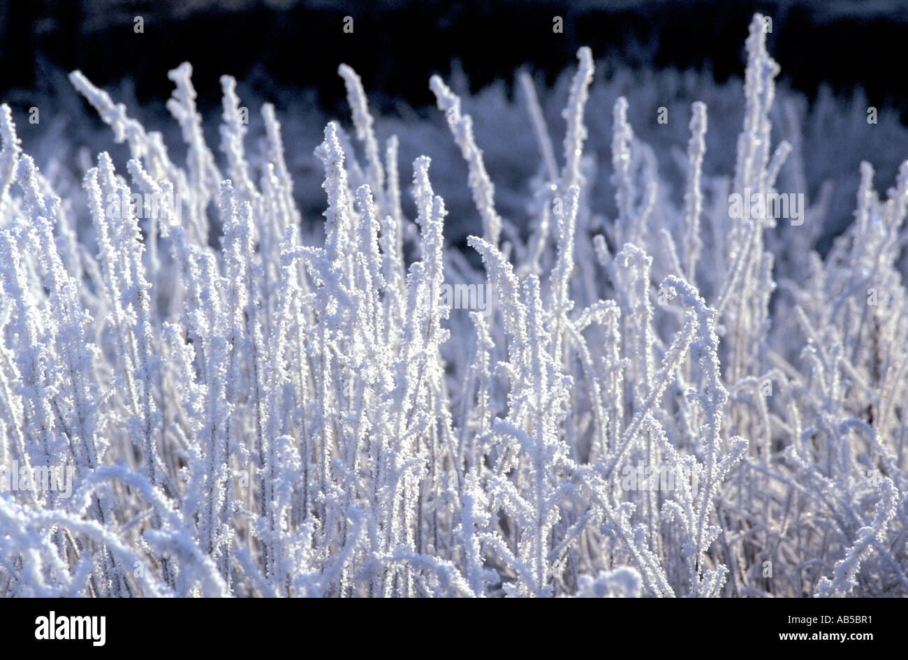 Cold tall format hi-res stock photography and images - Alamy