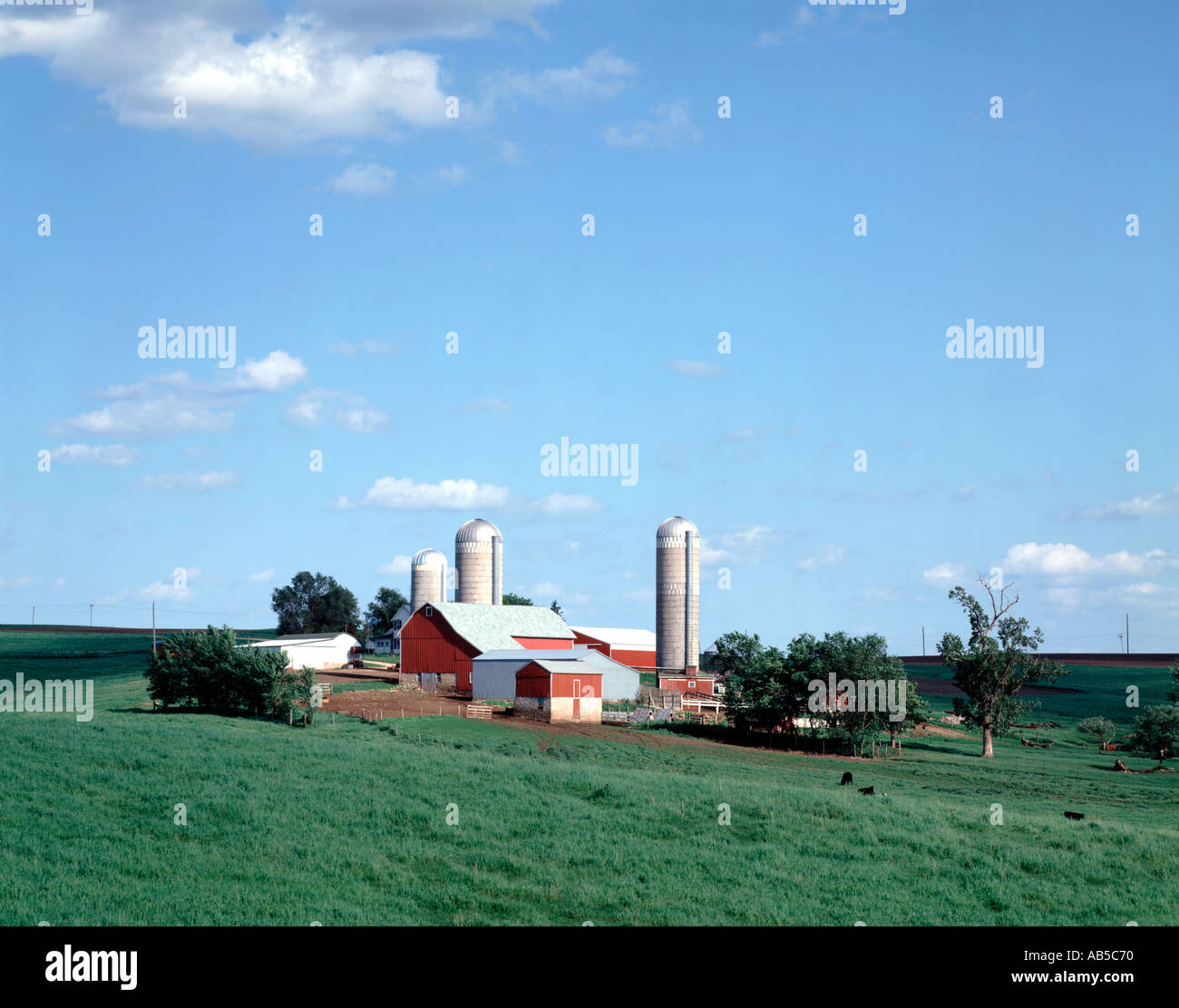 Dairy farm in Wisconsin Stock Photo - Alamy