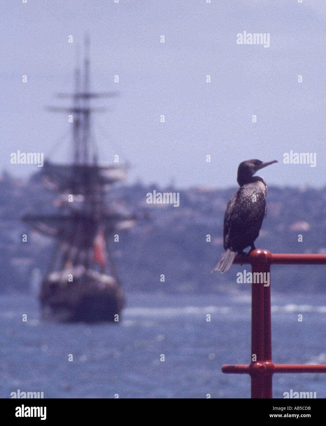 Taking in the view Stock Photo - Alamy