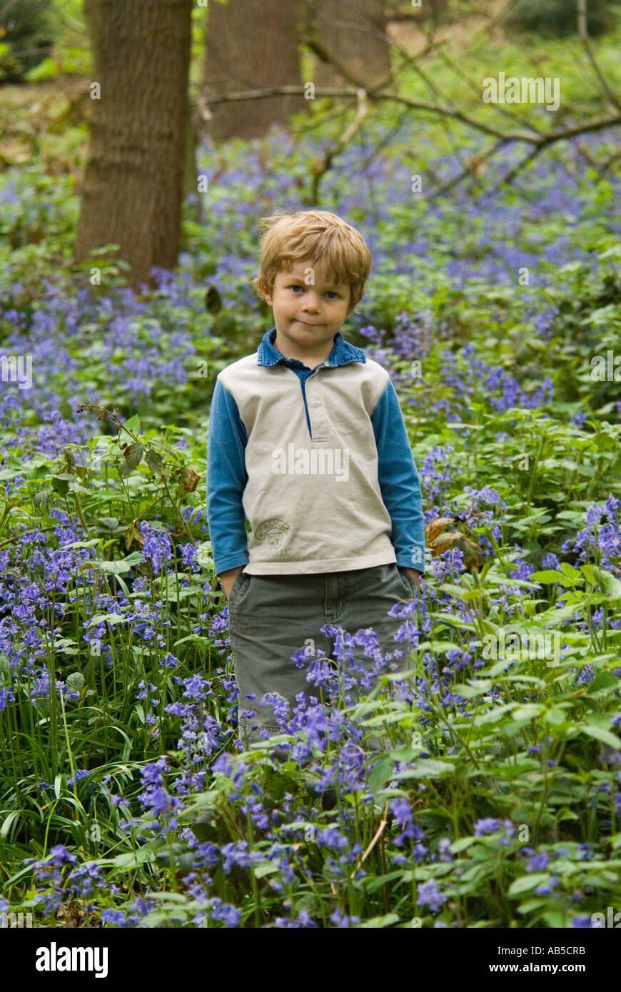 Cheeky little boy in the bluebell woods Stock Photo - Alamy