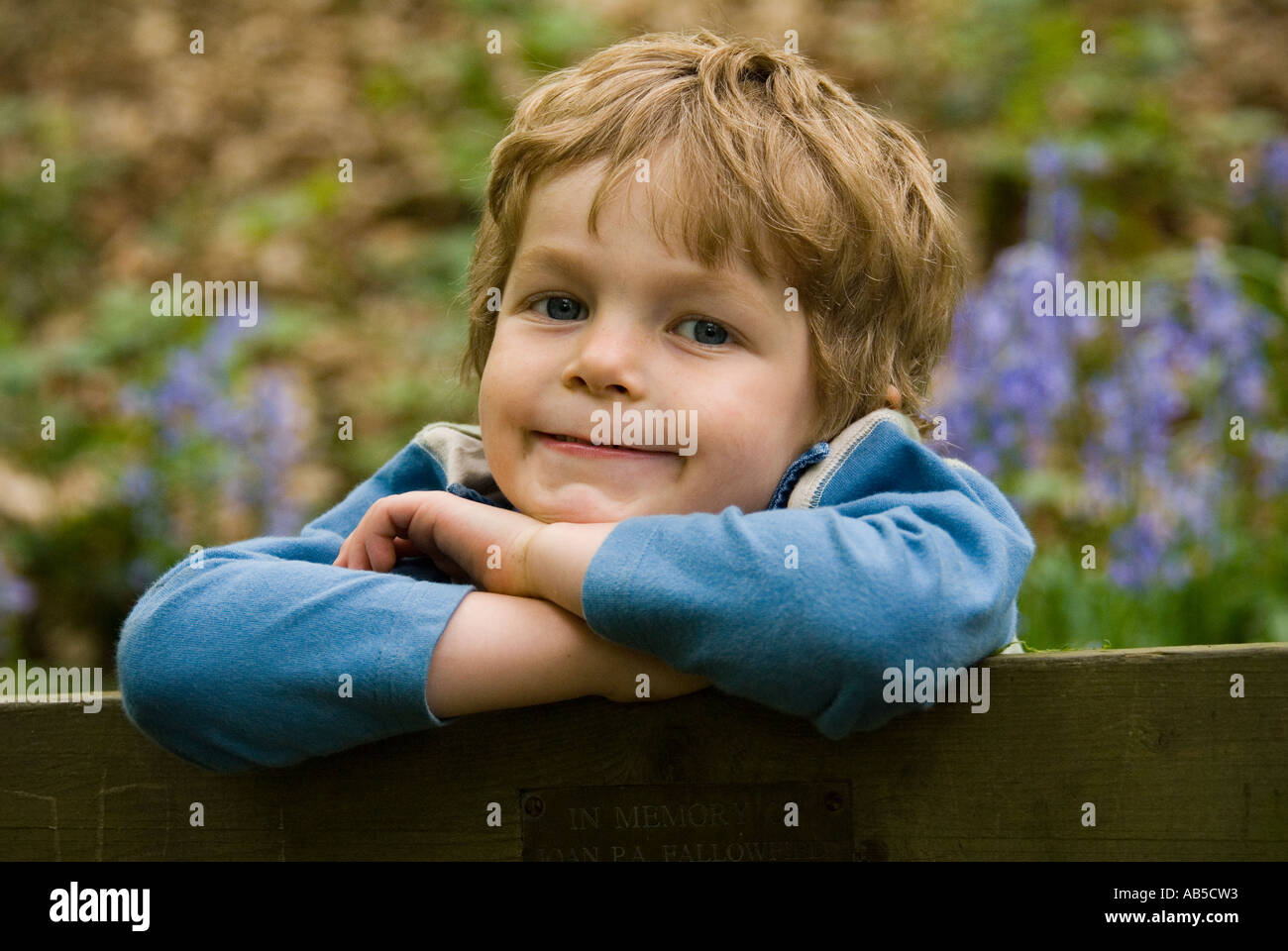 Cheeky little boy in the bluebell woods Stock Photo - Alamy