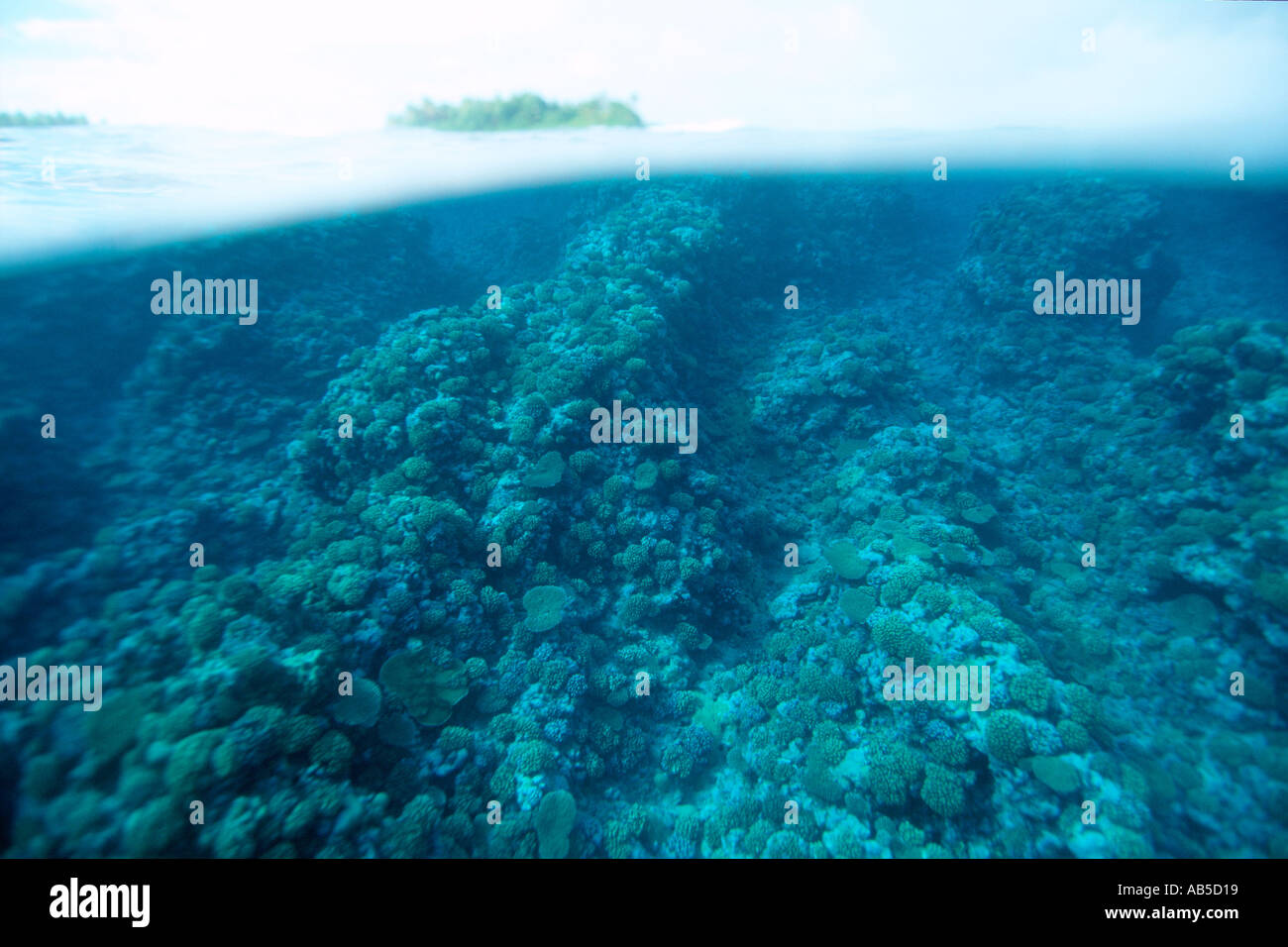 Coral reef and island Mili Marshall Islands N Pacific Stock Photo - Alamy