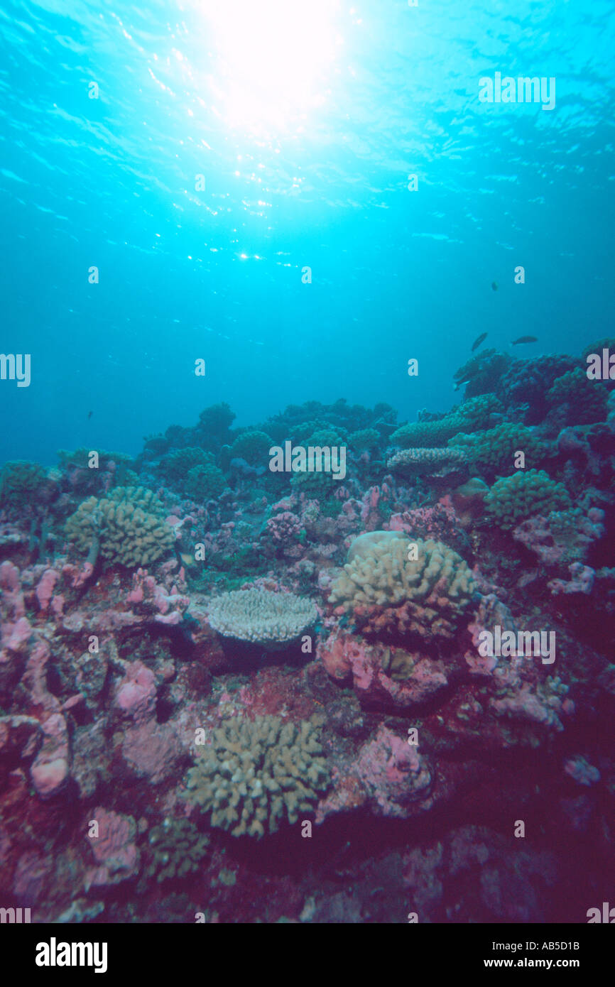 Mili atoll hi-res stock photography and images - Alamy