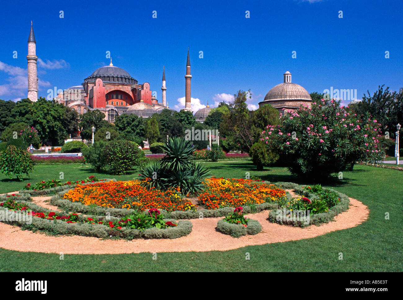 Secular Plants High Resolution Stock Photography and Images - Alamy