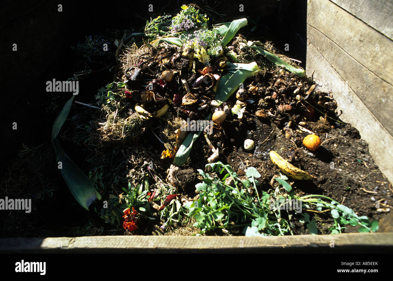 Garden composting box full of kitchen waste, Suffolk, UK Stock Photo ...