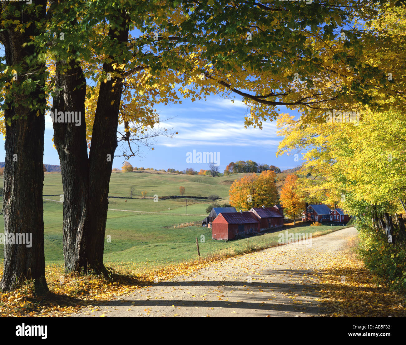 Jenne farm in reading vermont hi-res stock photography and images - Alamy