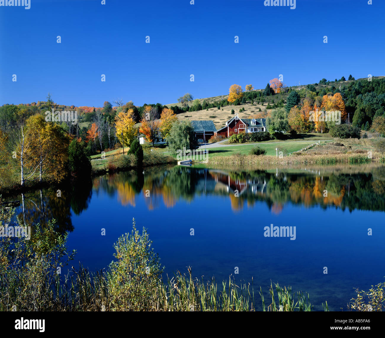 lake and farm near Barnet Vermont USA during Fall foliage season Stock ...