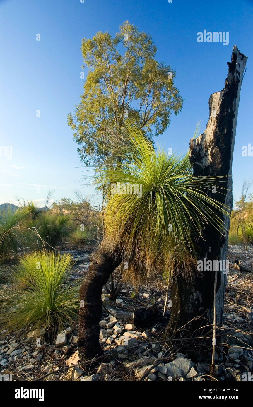 Isla gorge outback queensland australia hi-res stock photography and ...
