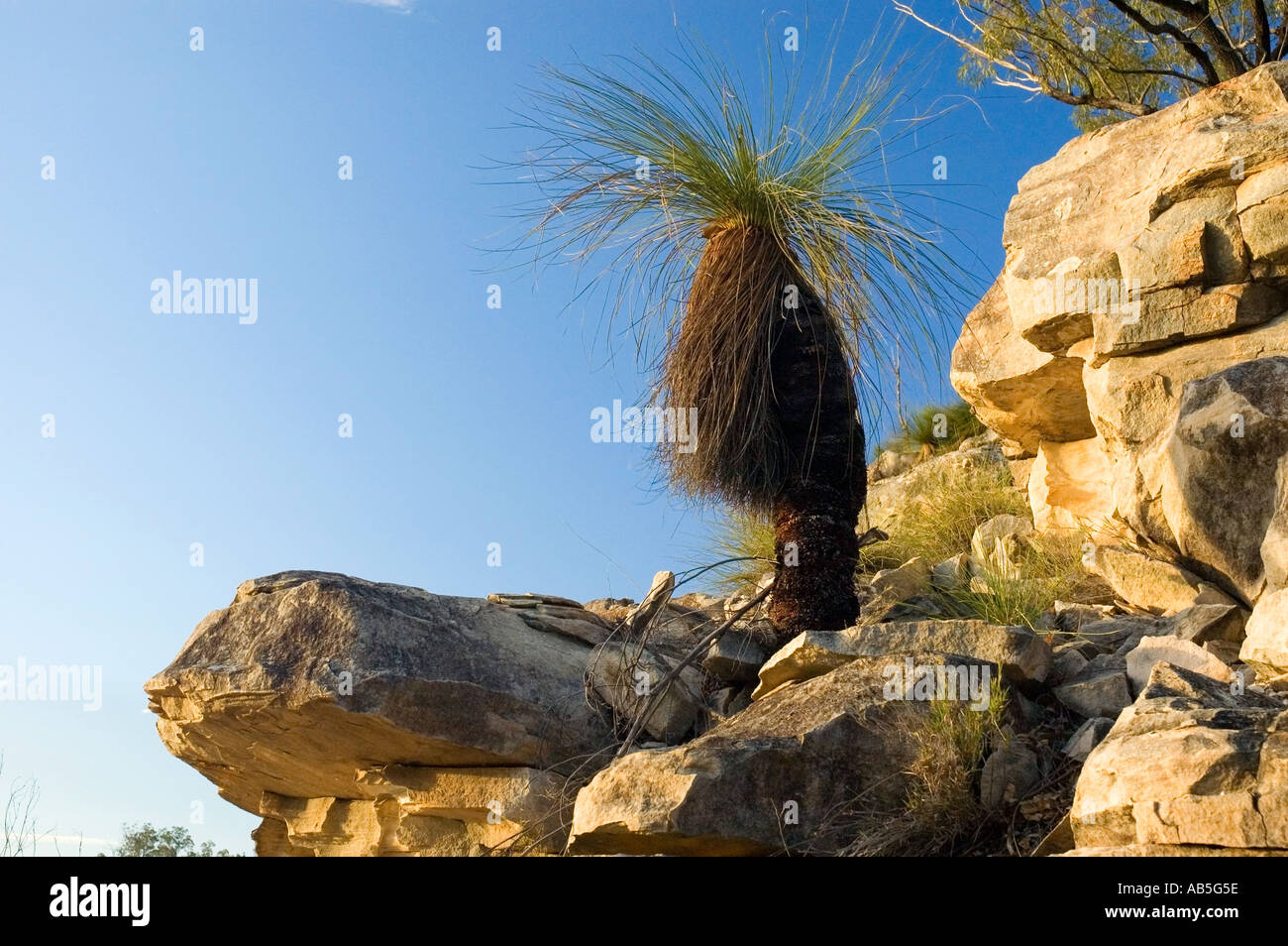 Isla gorge outback queensland australia hi-res stock photography and ...