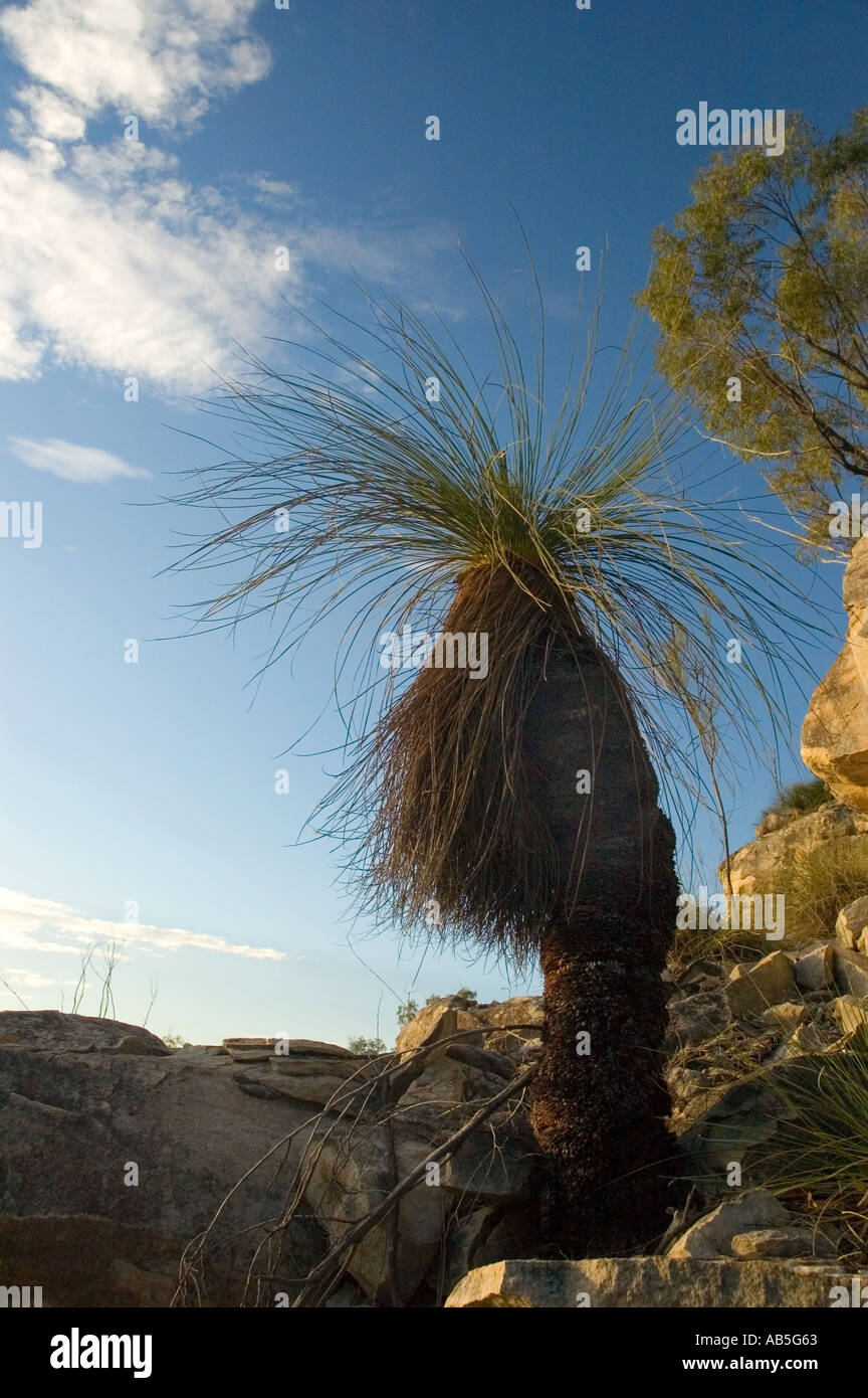 Isla gorge outback queensland australia hi-res stock photography and ...