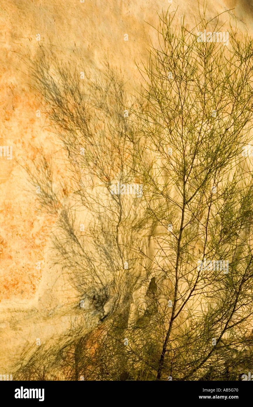 Isla Gorge, outback Queensland, Australia. 3489 Outback Queensland ...