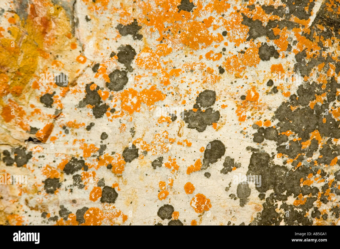 Isla gorge outback queensland australia hi-res stock photography and ...