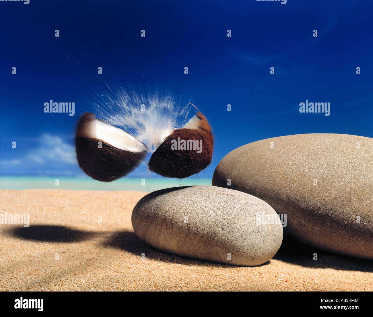 A coconut splitting in two Stock Photo - Alamy