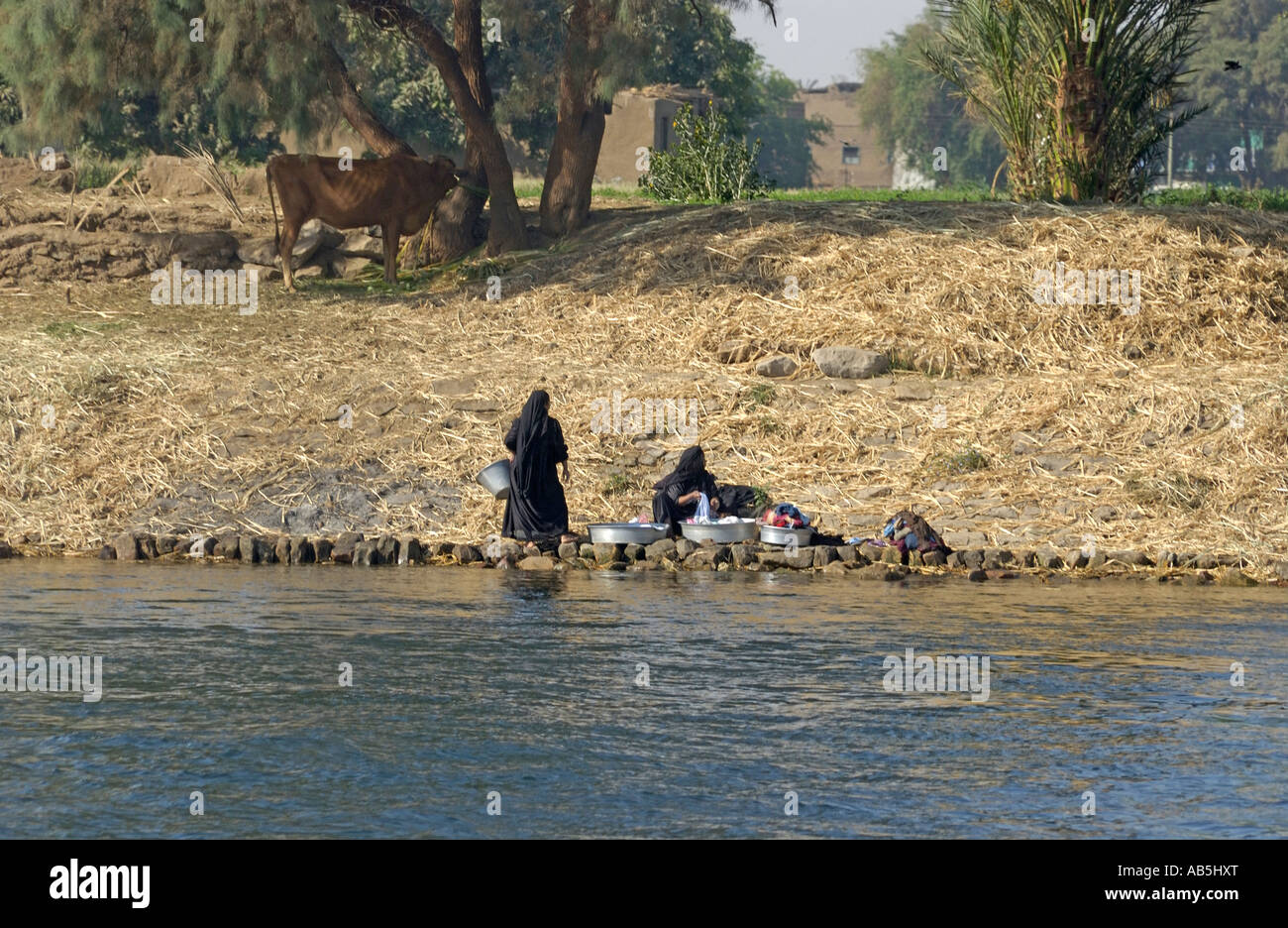 Egyptian Women washing pots and pans in the River Nile Egypt Stock ...