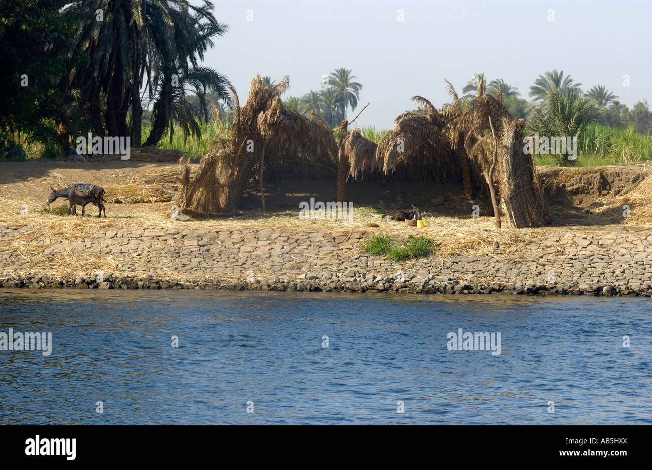 Farming on nile banks hi-res stock photography and images - Alamy