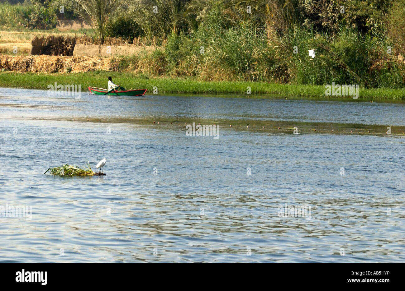 Egyptian man Rowing his boat on the River Nile, Egypt Stock Photo - Alamy