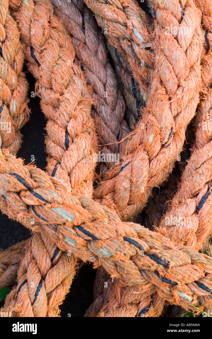 A graphic image of orange rope tangled together on the floor of a ...