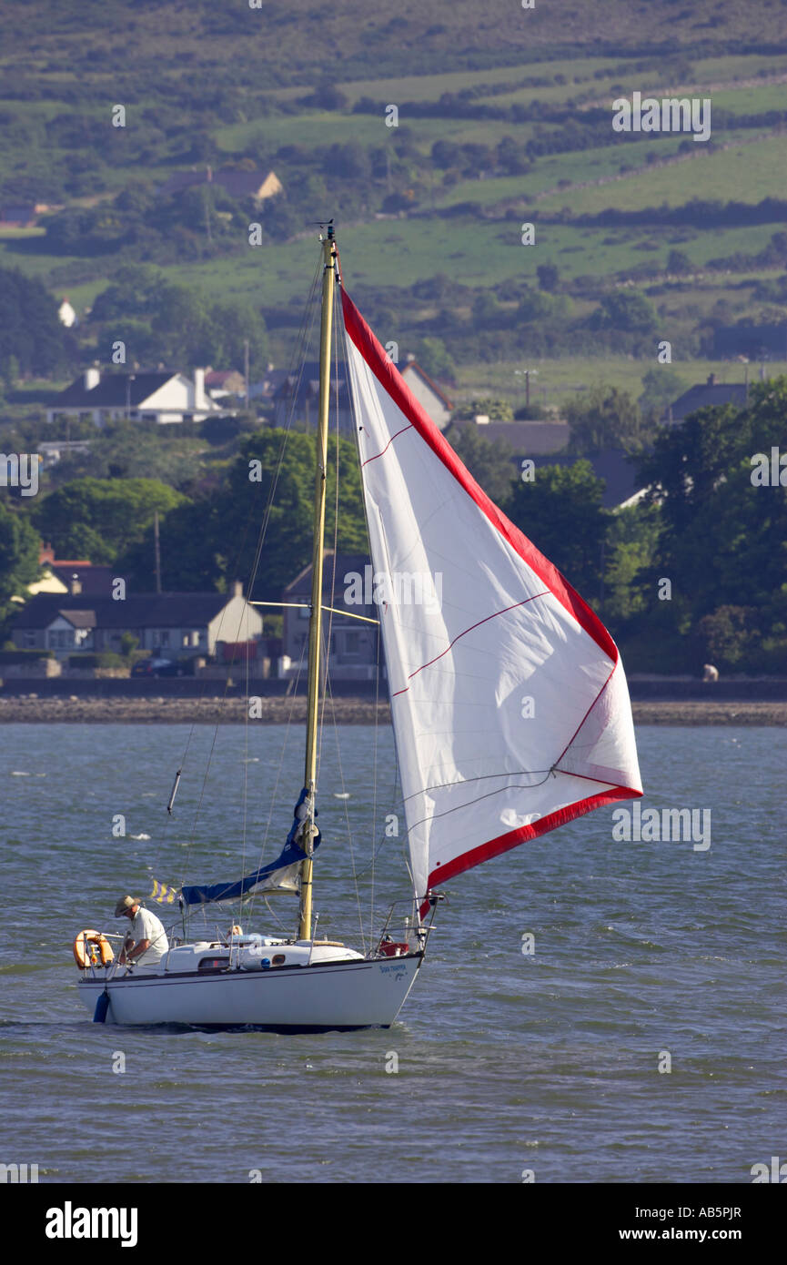 yacht unfurling its sail and flapping in the wind in carlingford lough ...