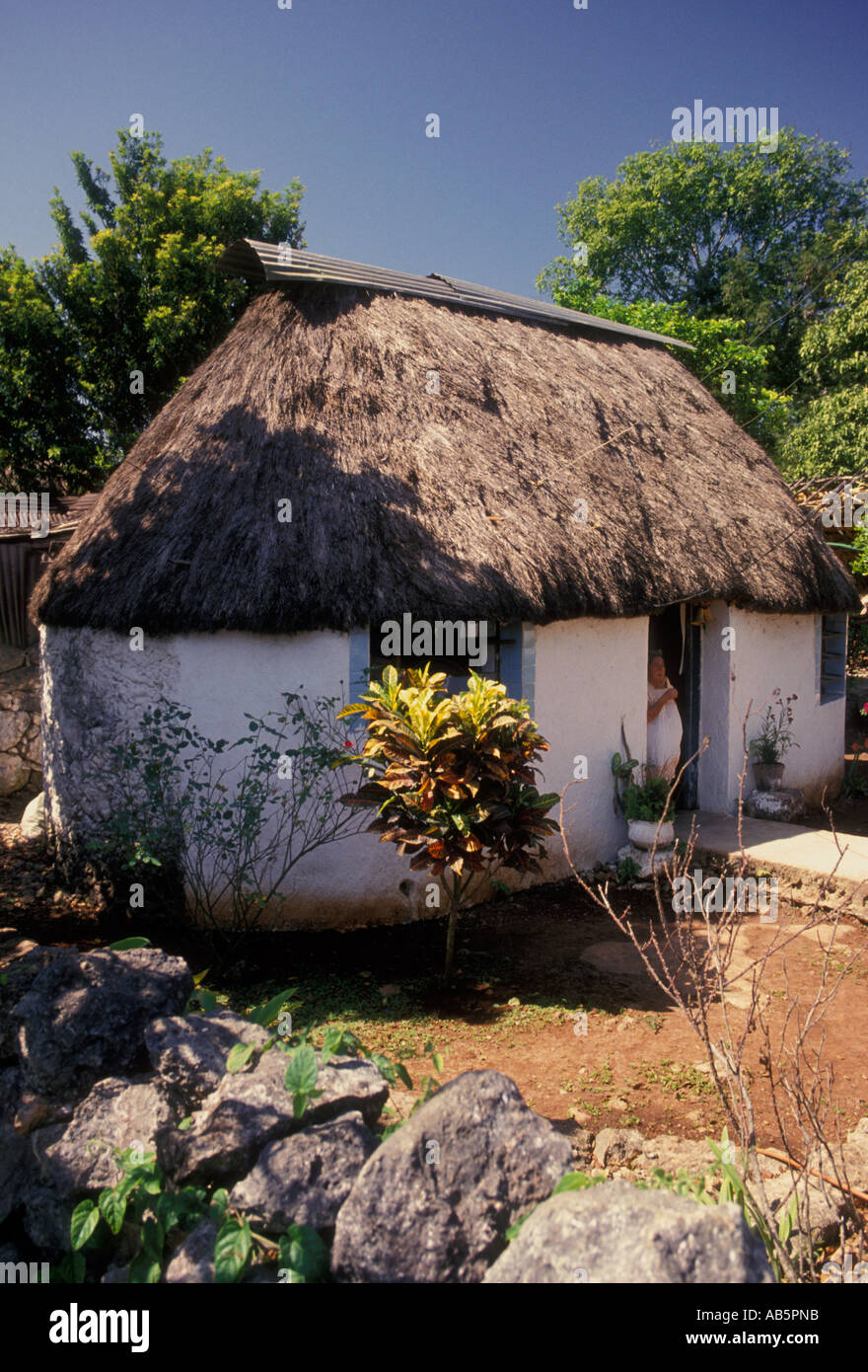 thatched roof home, thatched roof house, thatching, thatch, home, house ...