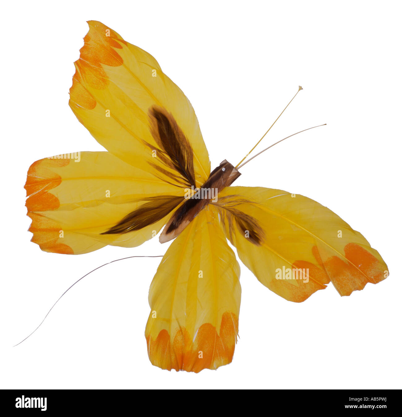 Butterfly made from feathers Stock Photo - Alamy