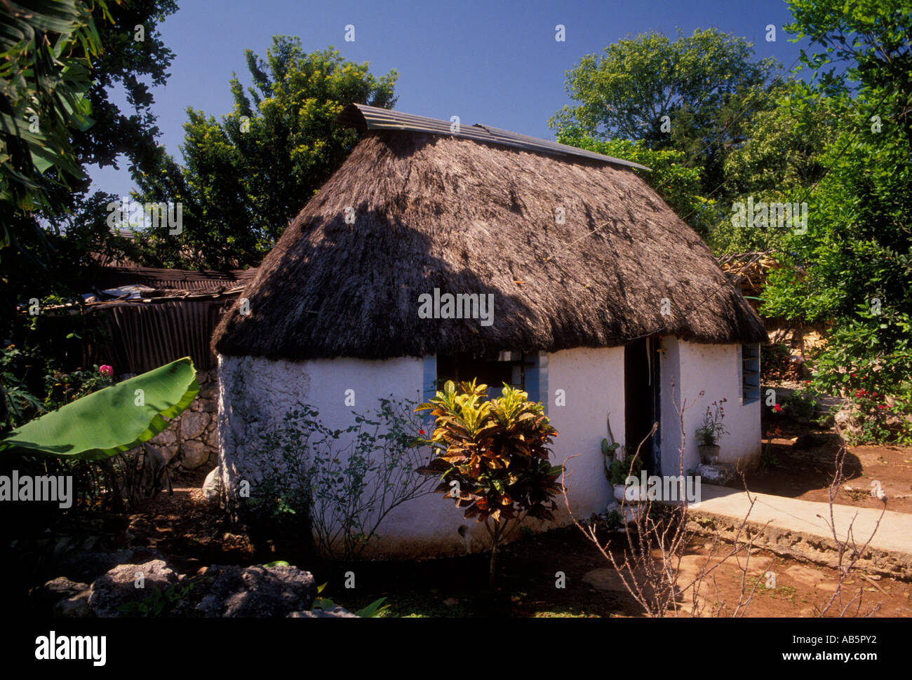 Thatch house mexico hi-res stock photography and images - Alamy