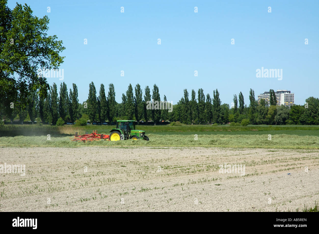 Tractor harvesting straw Stock Photo - Alamy
