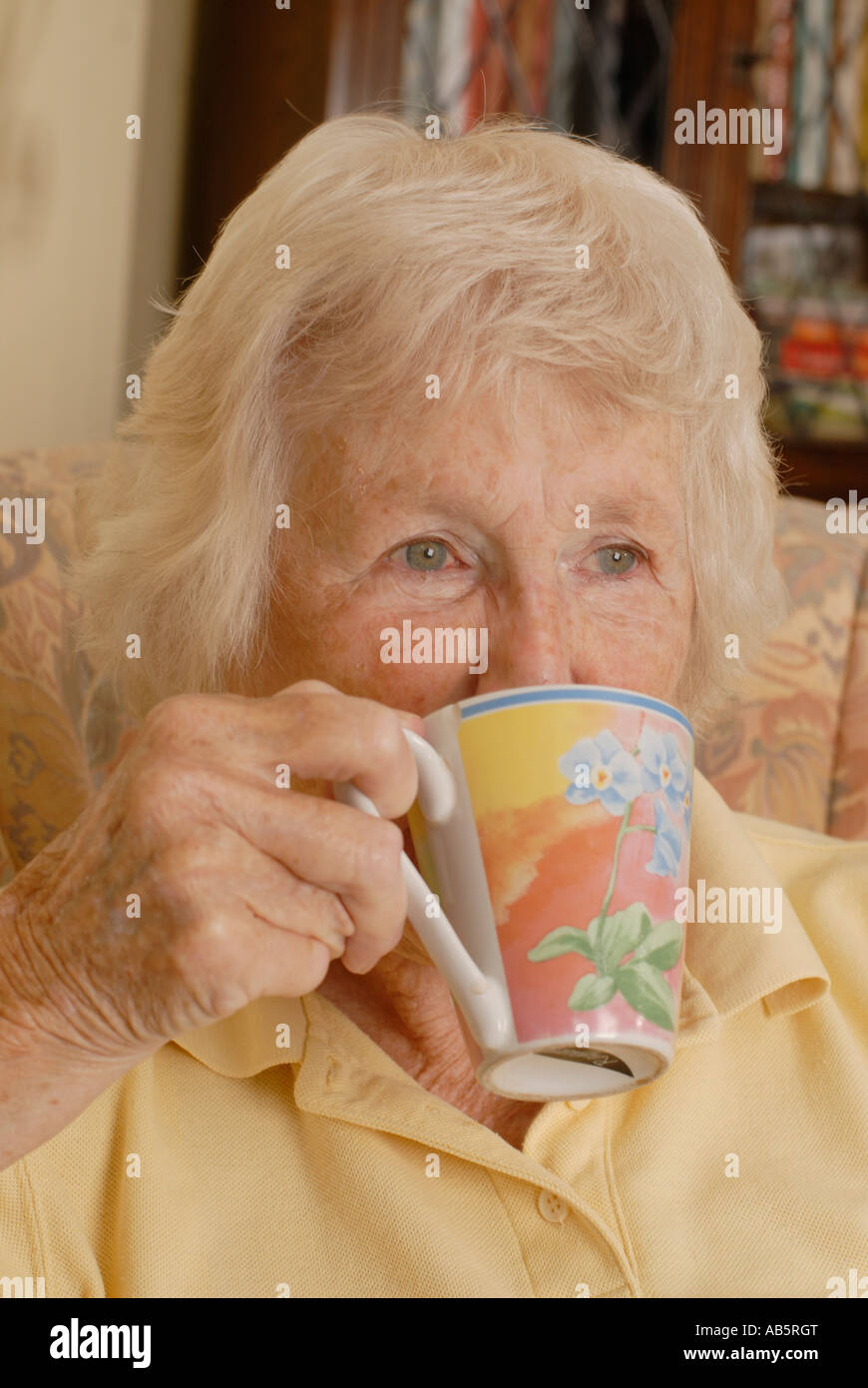 elderly lady pensioner at home Stock Photo - Alamy