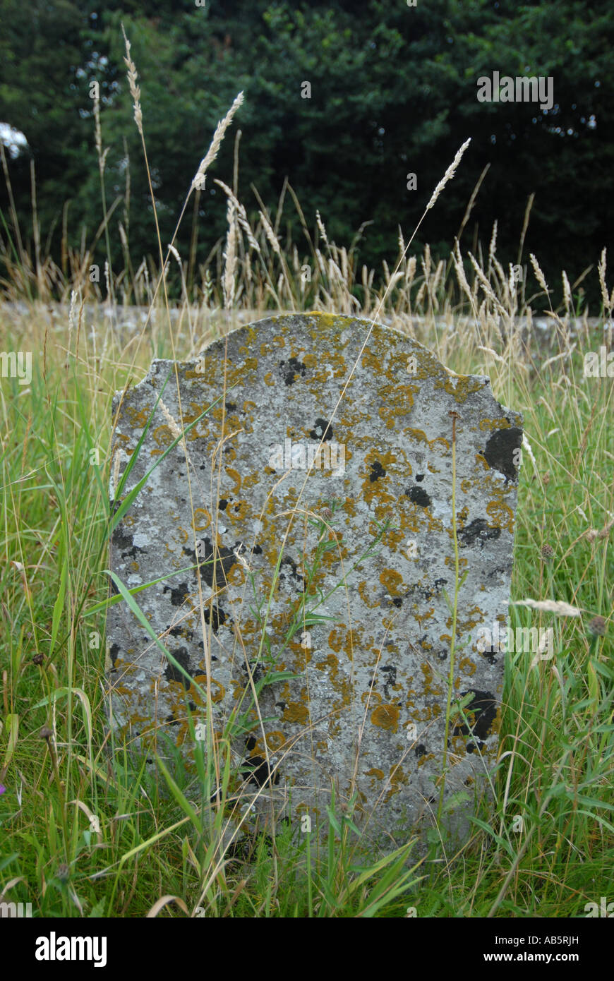 tombstone in overgrown graveyard Stock Photo - Alamy
