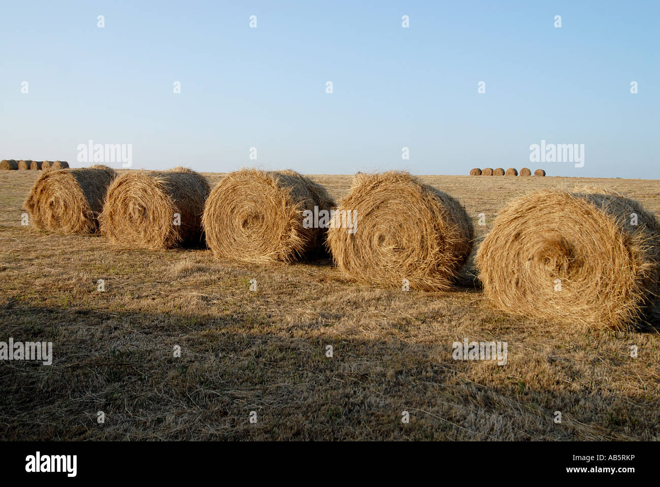 Hay field hi-res stock photography and images - Alamy