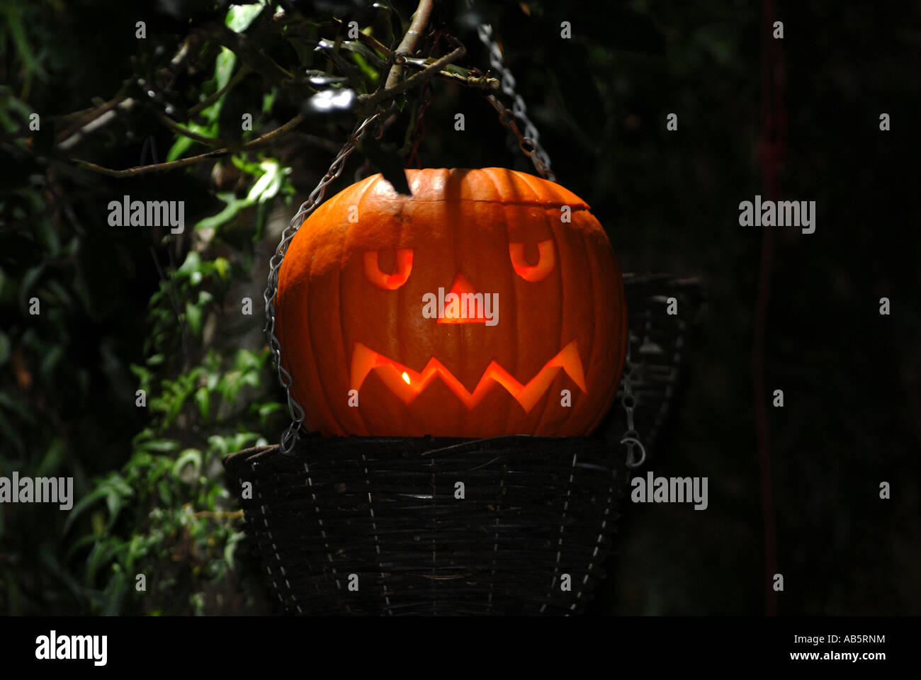 Pumpkin as Jack O Lantern for Halloween Stock Photo - Alamy